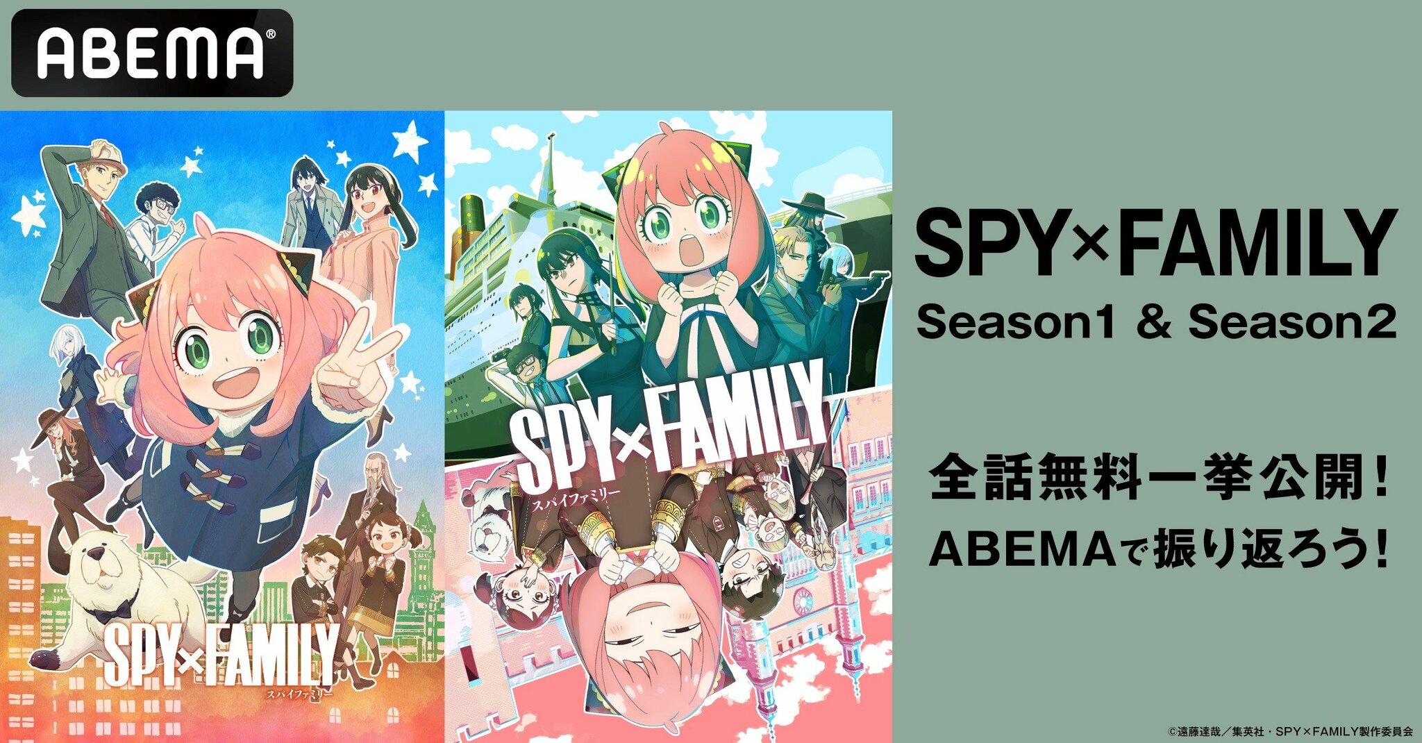 大人気アニメ『SPY×FAMILY』全37話 ABEMAで7月31日（水）、8月1日（木）に無料一挙放送 | VISIONS（ビジョンズ）