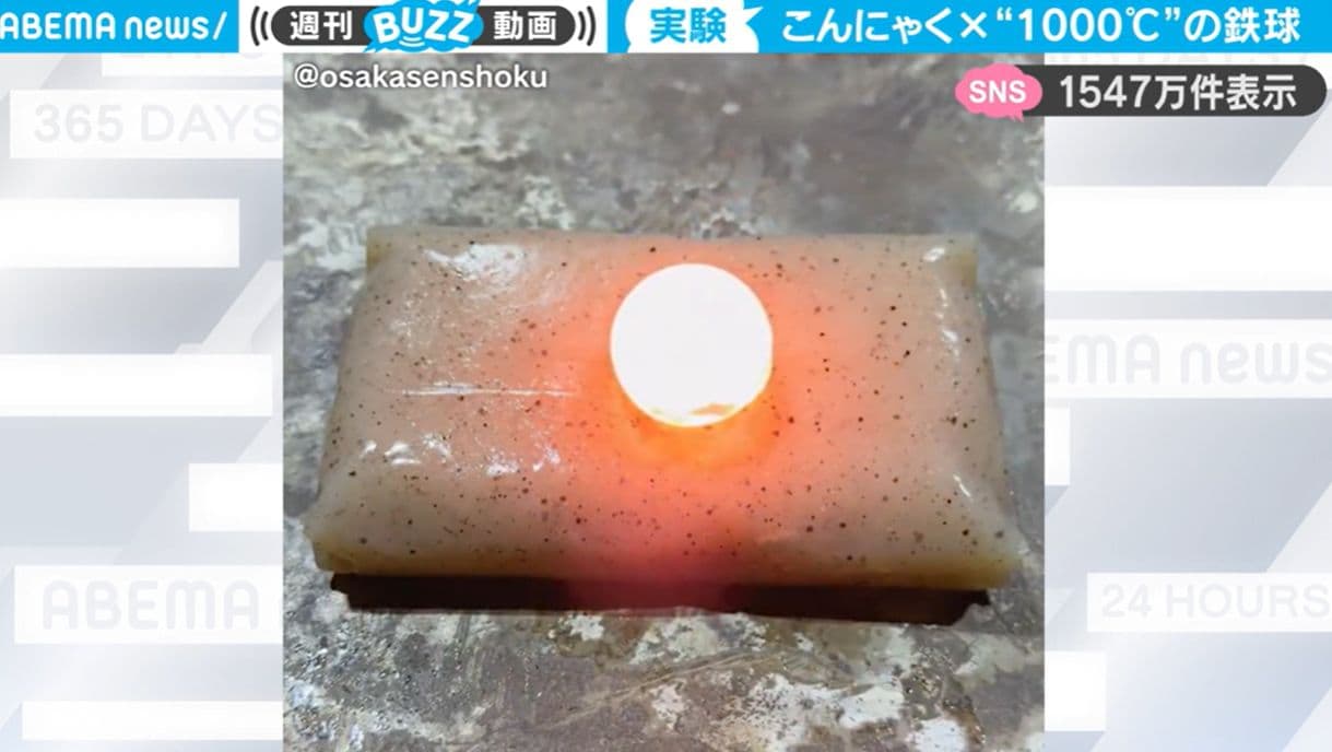 【写真・画像】こんにゃくに1000℃の鉄球を置いたらどうなるか？耐えるこんにゃくと、灼熱の鉄球…衝撃の実験結果が話題に 1枚目 | 話題 | ABEMA TIMES | アベマタイムズ