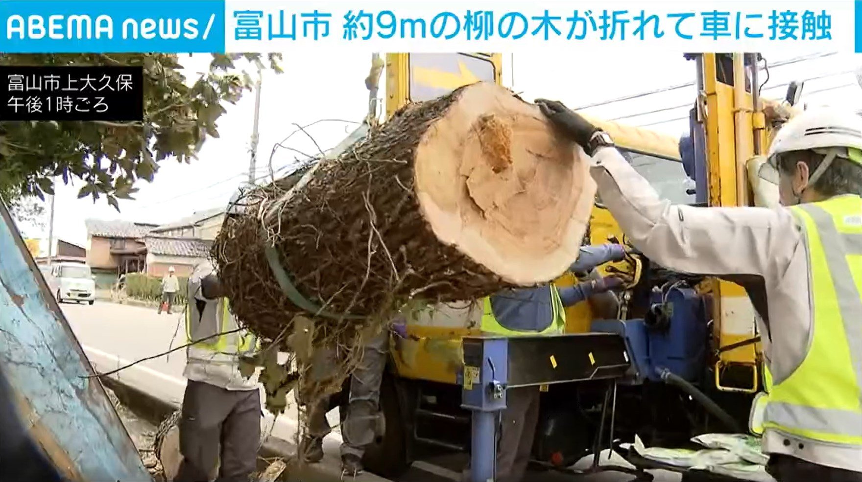 【写真・画像】富山市で最大瞬間風速27m超 約9mの柳が折れ走行中の車に接触 1枚目 | 国内 | ABEMA TIMES | アベマタイムズ