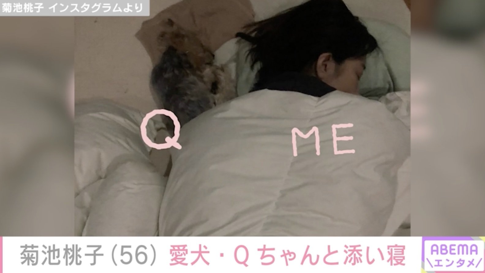 【写真・画像】菊池桃子、愛犬との添い寝ショットに反響「おんなじ寝方可愛いですね。ママのところ安心なんですね」 1枚目 | エンタメ総合 | ABEMA TIMES | アベマタイムズ