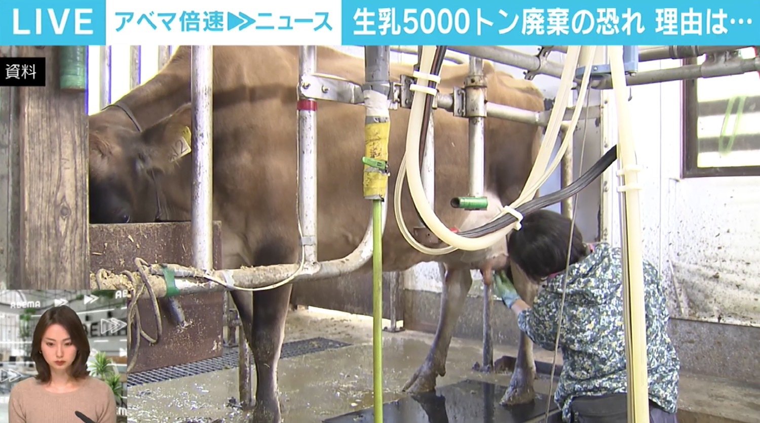 “生乳5000トン廃棄”問題 過去の“バター不足”に対する増産投資の効果も…さらに新型コロナ＆季節要因のダブルパンチ | 経済・IT | ABEMA TIMES | アベマタイムズ