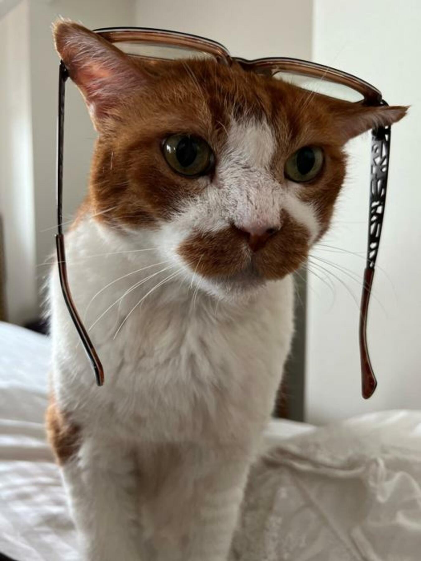 【写真・画像】 松居直美、自身へのご褒美で購入したずっと欲しかった品「憂鬱なことも乗り越えてがんばるよ」 1枚目 | エンタメ総合 | ABEMA TIMES | アベマタイムズ