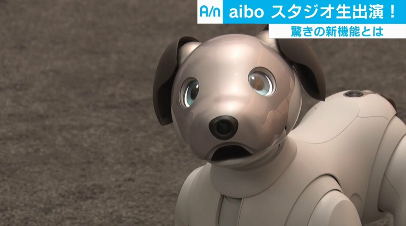 【写真・画像】“ワン・ワンワン”の日に発売！ 「新型aibo」検証に柴田阿弥メロメロ「心配になっちゃう」 1枚目 | 国内 | ABEMA TIMES | アベマタイムズ