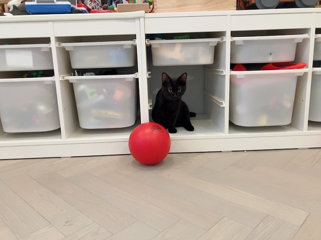 アレク、妻・川崎希が“激おこ”だった理由「マッサージ3時間する約束で手を打ちました」 | 話題 | ABEMA TIMES