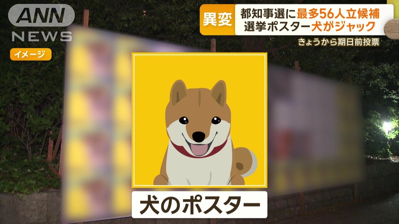 【写真・画像】選挙ポスター「犬」も “ほぼ全裸女性”は警視庁が警告 都知事選に最多56人立候補 7枚目 ニュース Abema