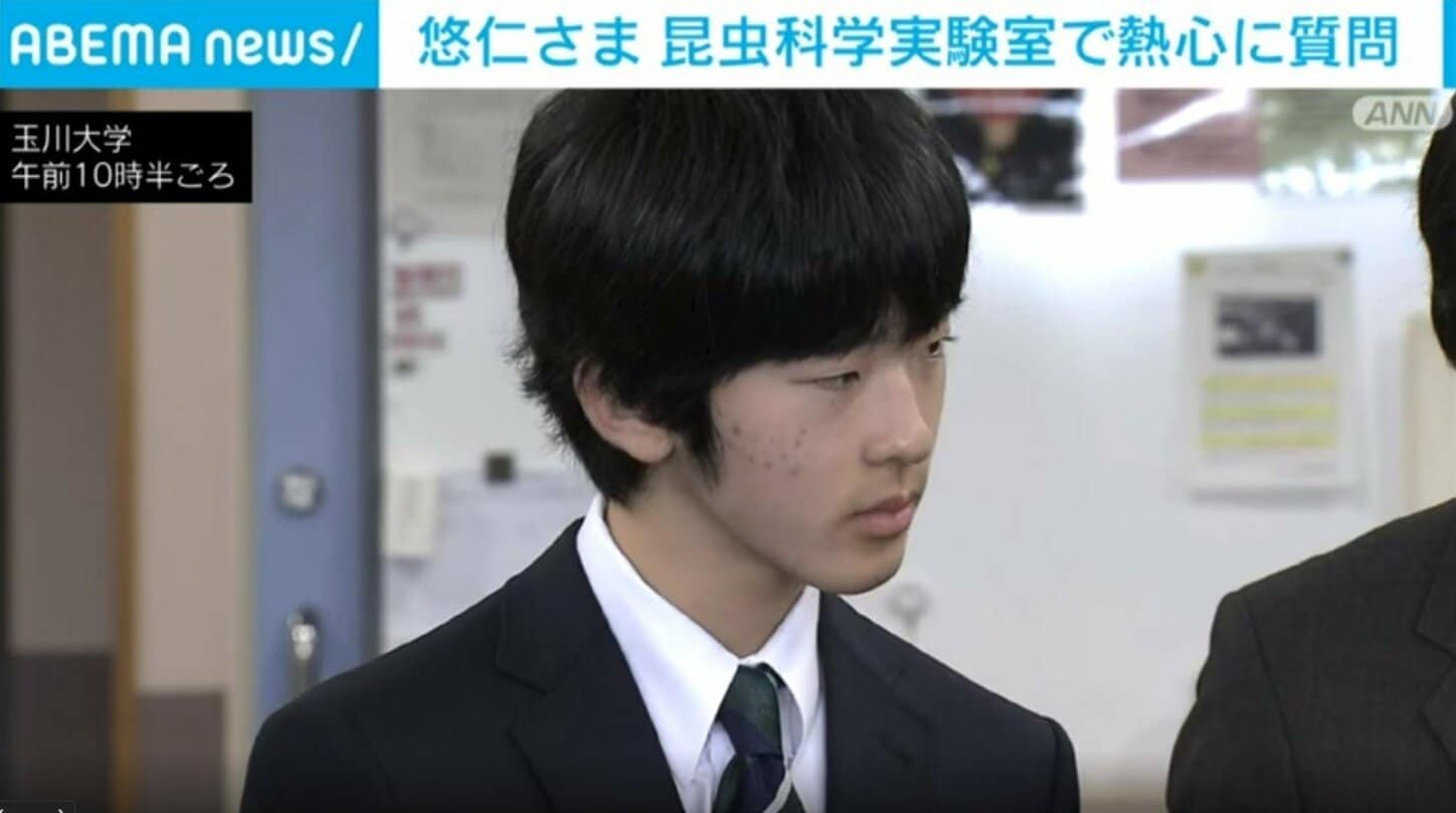 【写真・画像】悠仁さま、昆虫科学実験室で熱心に質問 1枚目 | 国内 | ABEMA TIMES | アベマタイムズ