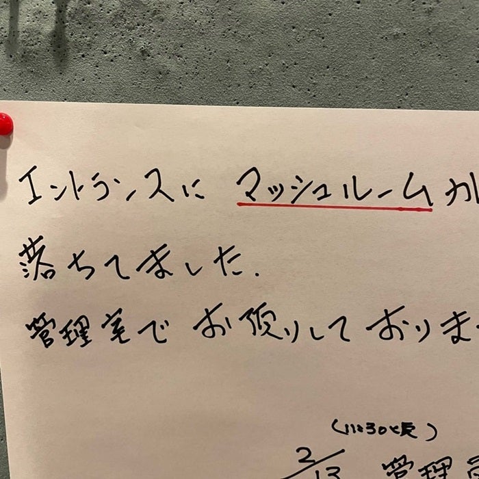 料理研究家・桜井奈々、マンションの掲示板に貼りだされていた内容「あっ。私の」 | 話題 | ABEMA TIMES | アベマタイムズ