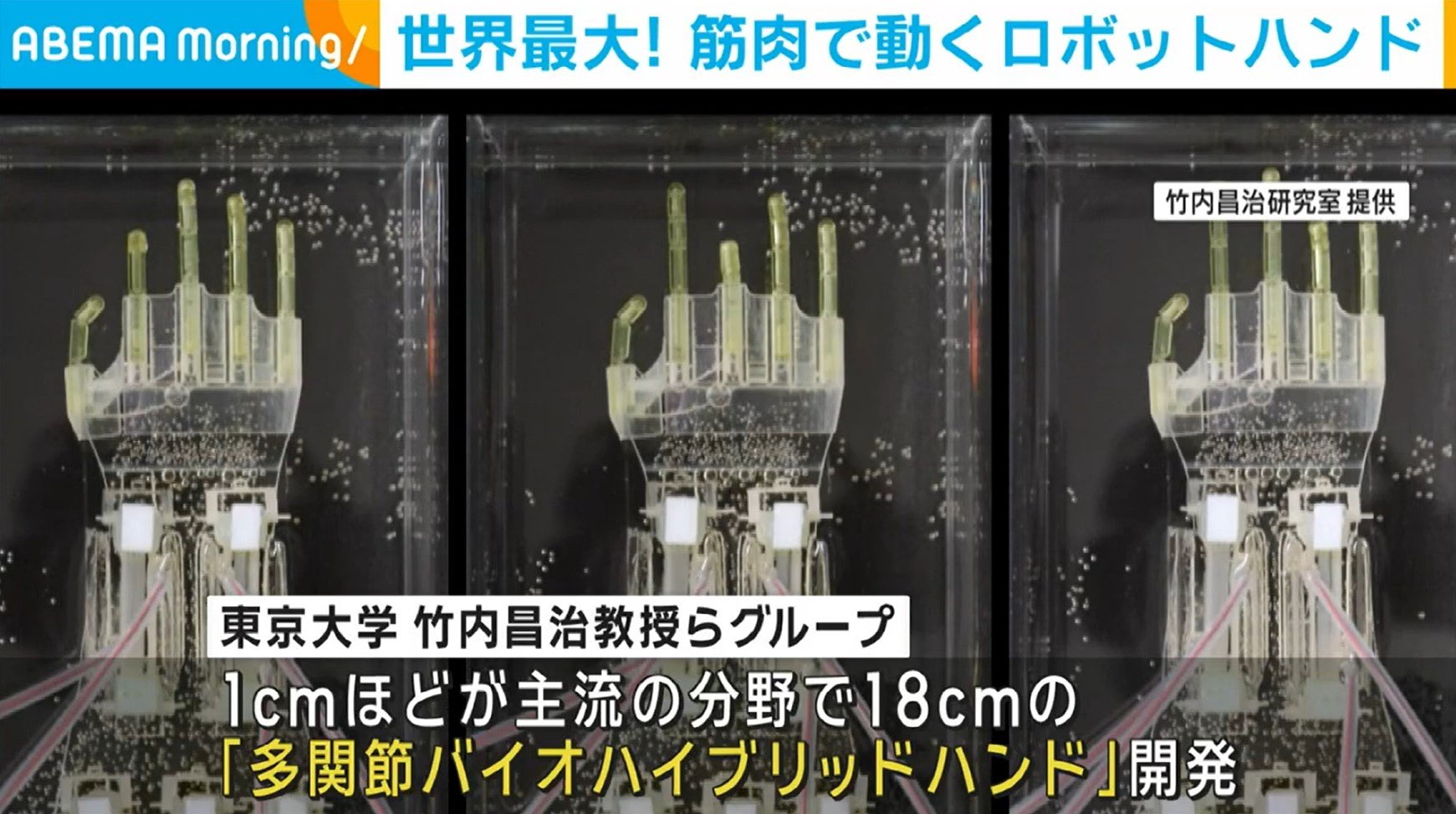 【写真・画像】世界最大！筋肉で動くロボットハンドの開発に成功 1枚目 | 経済・IT | ABEMA TIMES | アベマタイムズ
