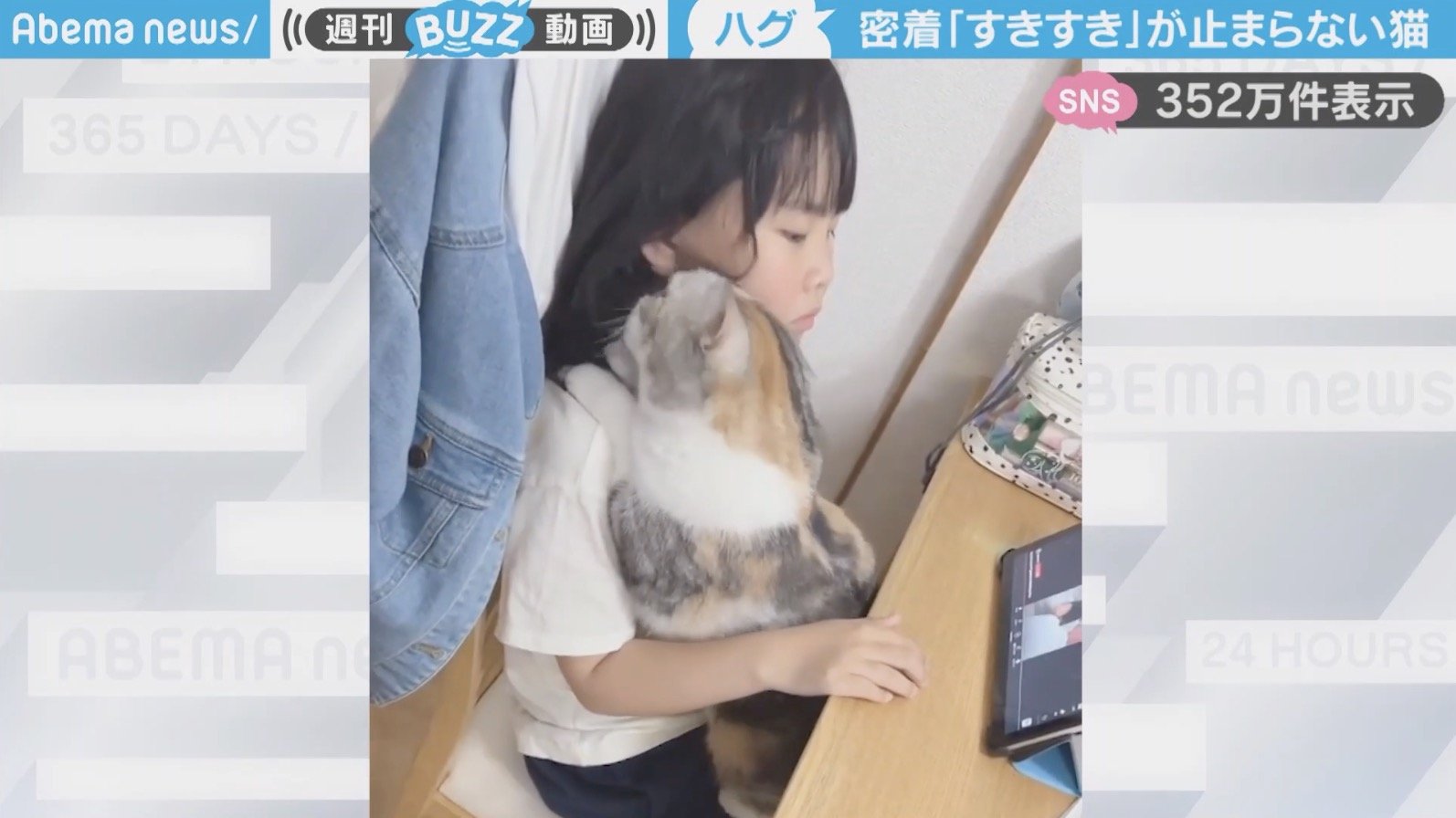 【写真・画像】微笑ましすぎる…猫が女の子に“べったり”寄り添う愛情表現 ほのぼのした日常に癒される人が続出！ 1枚目 | 話題 | ABEMA TIMES | アベマタイムズ