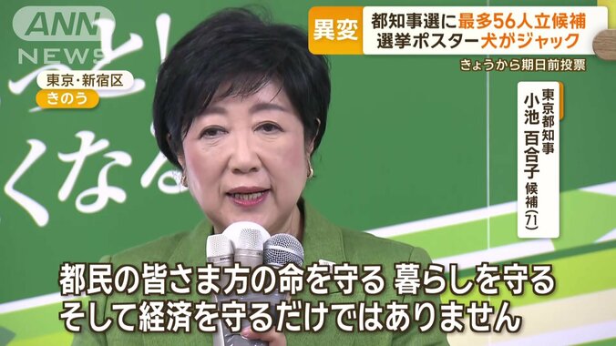 【写真・画像】選挙ポスター「犬」も “ほぼ全裸女性”は警視庁が警告 都知事選に最多56人立候補 2枚目 ニュース Abema