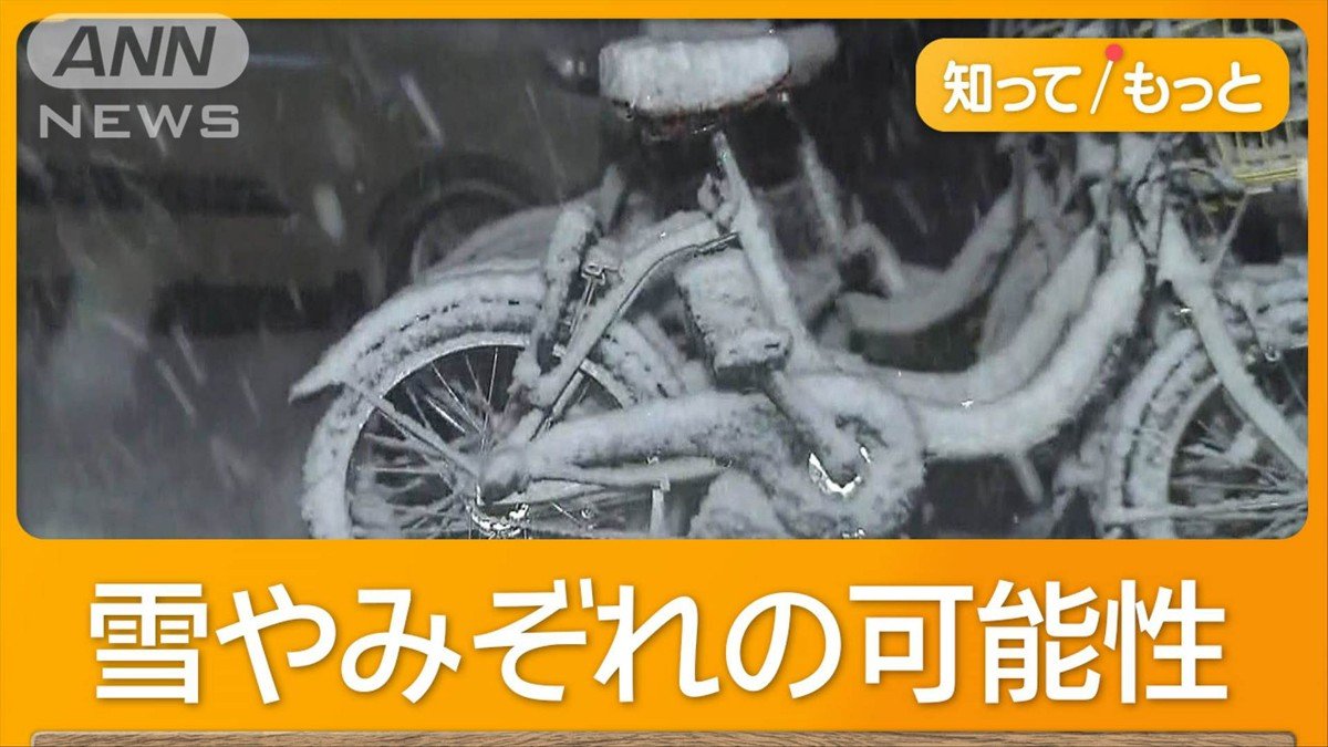 都心で今季初積雪か 箱根では除雪車出動 交通混乱のおそれ | 国内 | ABEMA TIMES | アベマタイムズ